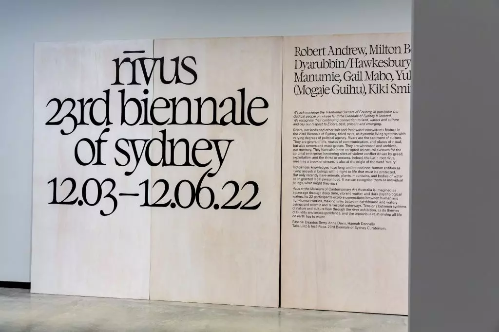 Орнату көрінісі, 23-ші Сидней биенналесі, Ривус, 2022, Австралия заманауи өнер мұражайы. Фотосурет: құжаттық фотосурет.