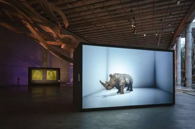 Ka Litšoantšo: Bona Lintlha-khōlō Tse Tsoang ho Sydney Biennale, Moo Baetsi ba Litšoantšiso ba Nahanang Hape ka Kamano ea Rōna le Metsi. 1005_2