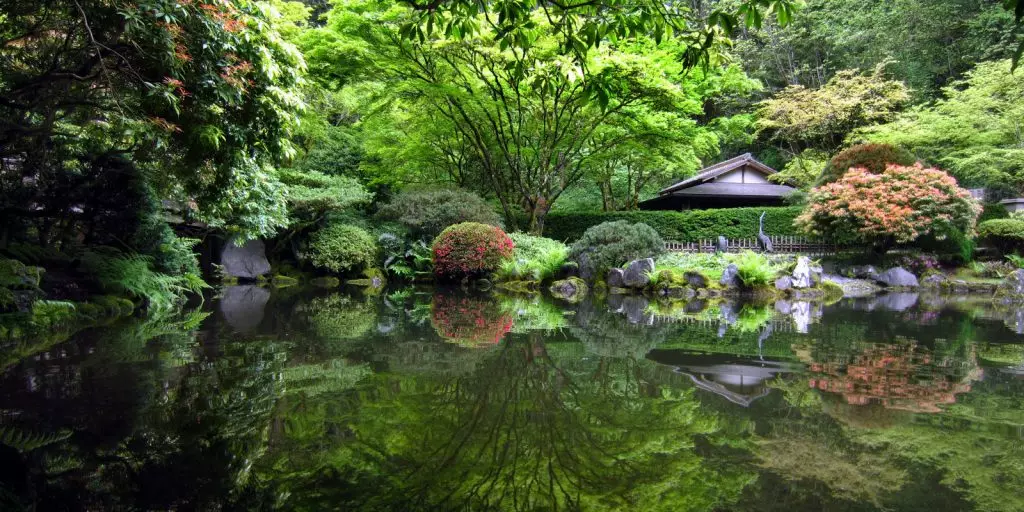 Ọdọ mmiri dị n'elu ọdọ mmiri na-agbagharị agbagharị na Ogige Japanese Portland. Foto sitere n'aka Michael Drewry, site n'ikike nke ogige Japanese Portland.