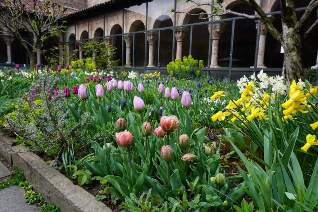 I-Met Cloisters ngexesha lokuvalwa. Ifoto ngoncedo lwengcali yokulawula i-horticulturist uMarc Montefusco.