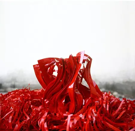 Jukhee Kwon, Red Presence (детали), 2013 година, Октомври галерија, Лондон, ОК