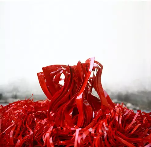 Jukhee Kwonin Red Presence