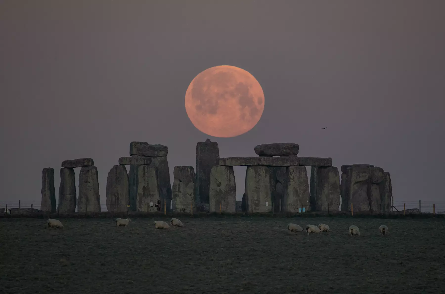 Cientistas realizaram testes que revelam que Stonehenge é feito de um material antigo quase indestrutível