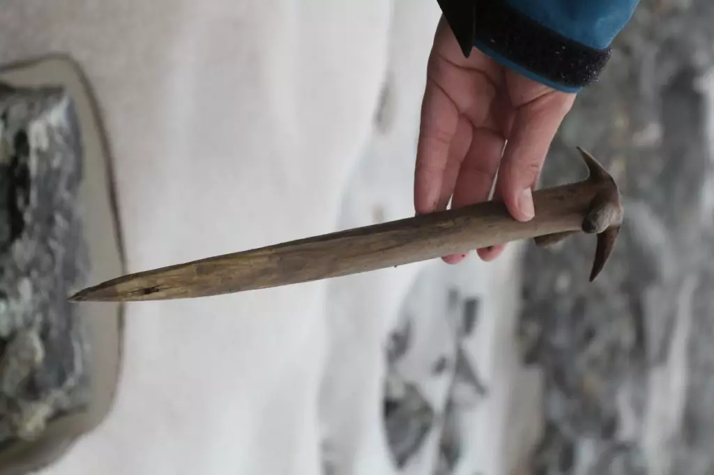 A wooden whisk, radiocarbon-dated to the 11th century AD. It was perhaps secondarily used as a tent peg, as such whisks were rarely pointed. Photo courtesy of Secrets of the Ice.