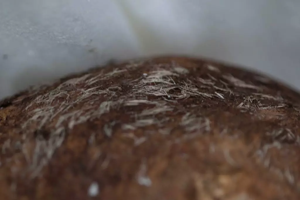 Détail montrant des cheveux blancs sur le crâne de Marcus Venerius Secundio. Photo publiée avec l'aimable autorisation du Parc Archéologique de Pompéi.