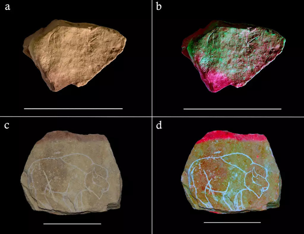 Werna warna pink disebabake dening plaquettes replika pemanasan. Kasedhiya saka Plos One.