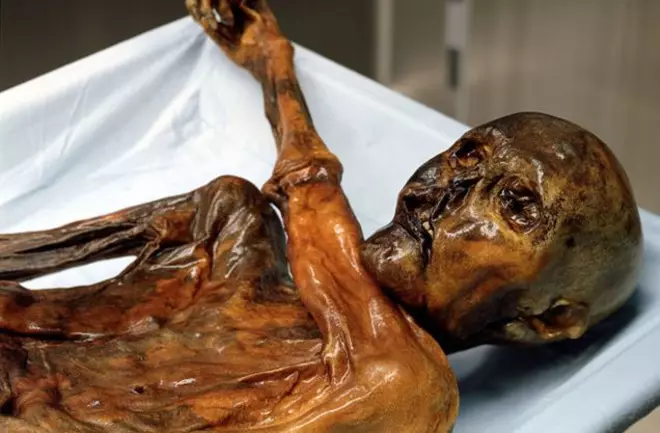 Ötzi an Fear Oighir. Grianghraf le Músaem Seandálaíochta South Tyrol.