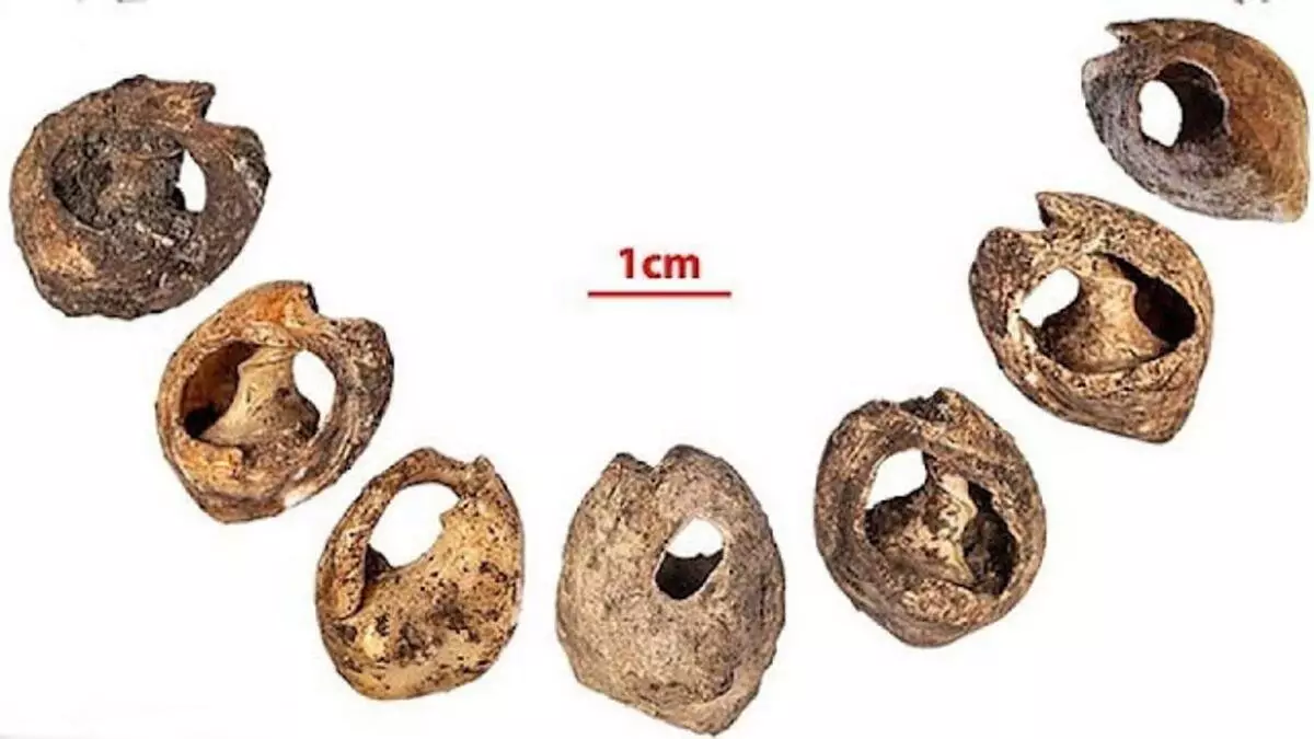 Fa'ato'a Maua e Tagata Su'esu'e i Tala Fa'asolopito Le Mea'ai Tuai Tuai a le Lalolagi: Le Seti lea o Lo'o Atigi Snail 150,000 Tausaga le Matua i Morocco