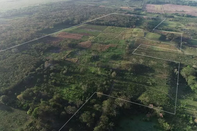 Aguada Fénix، LiDAR اسکینوں میں شامل علاقوں میں سے ایک، شاید مایا کی طرف سے ایک رسمی اجتماع کی جگہ تھی۔ تصویر بشکریہ Takeshi Inomata۔