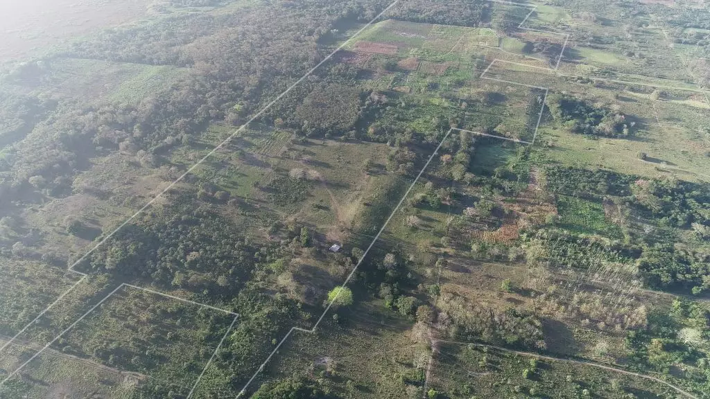 Vista aérea de la meseta en Aguada Fenix. Foto cortesía de Takeshi Inomata.