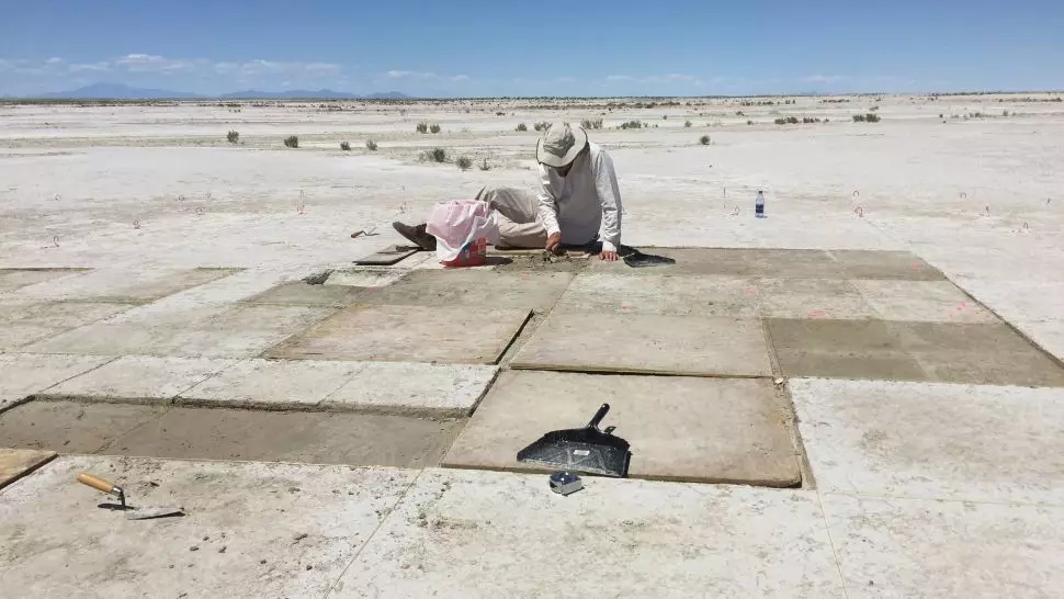 Naujas archeologinis radinys Jutoje rodo, kad žmonės tabaką vartojo nuo ledynmečio