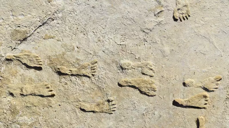 Najstariji ljudski otisci u Sjevernoj Americi, pronađeni u Nacionalnom parku White Sands u Novom Meksiku. Fotografija ljubaznošću National Park Service/U.S. Geološki zavod/Sveučilište Bournemouth, U.K.