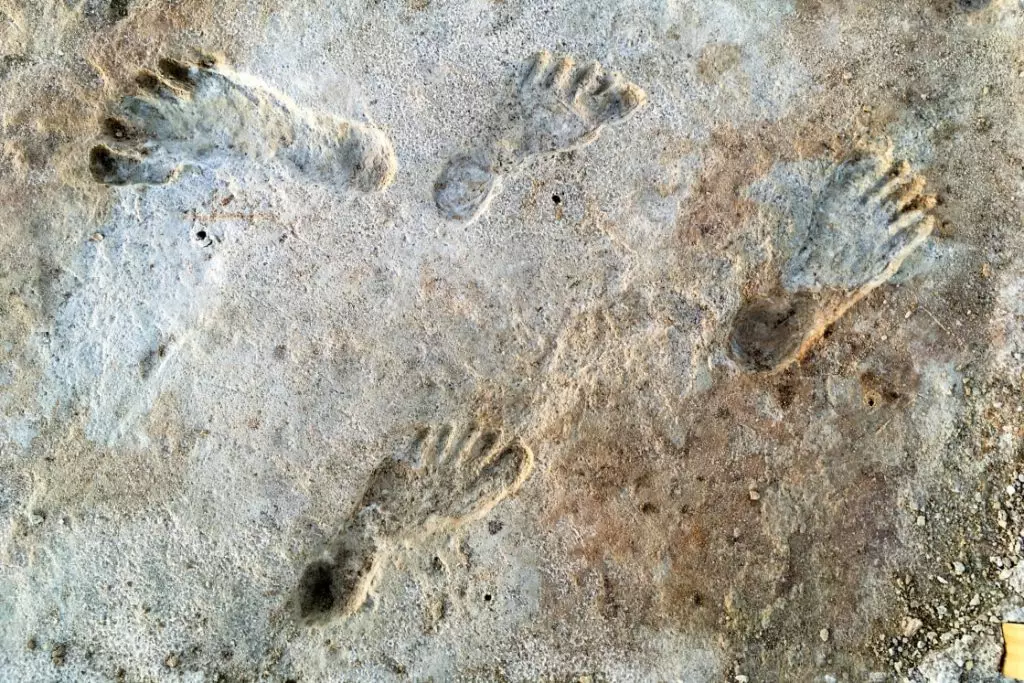 Ariwa America ká Atijọ eda eniyan footprints, ri ni White Sands National Park ni New Mexico. Fọto iteriba ti National Park Service/U.S. Iwadi Jiolojikali / Ile-ẹkọ giga Bournemouth, U.K.