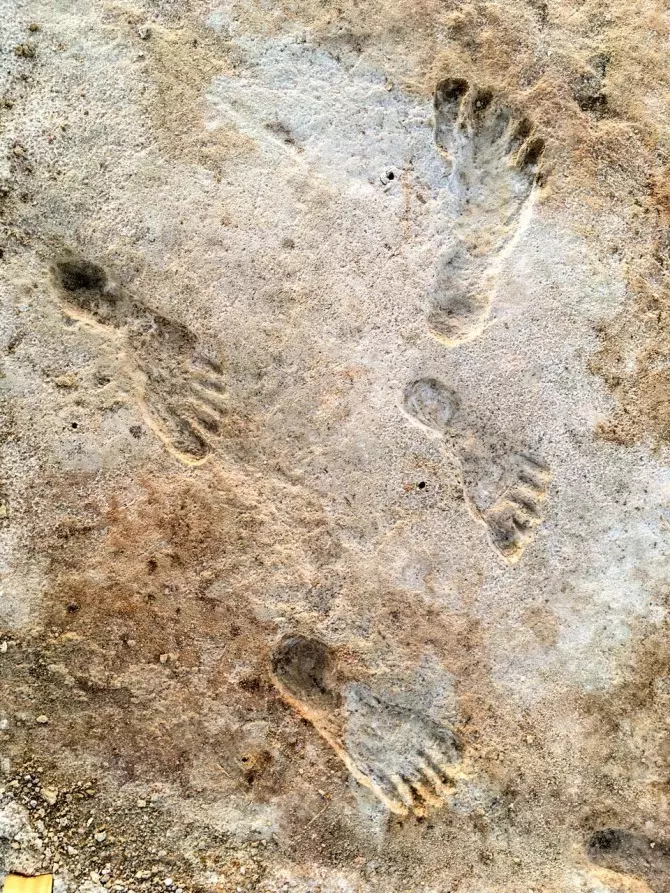 Footprints found at White Sands National Park in New Mexico, providing the earliest evidence of human activity in the Americas. Photo courtesy of the National Park Service/U.S. Geological Survey/Bournemouth University, U.K.