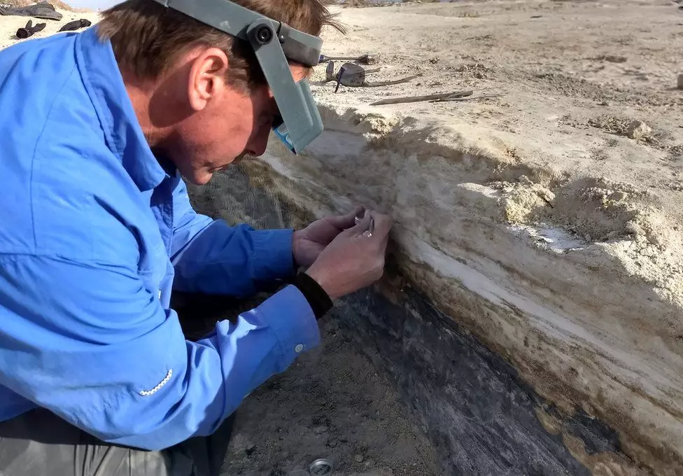 Researchers testing seeds found embedded in the footprints. Photo courtesy of Bournemouth University, U.K.