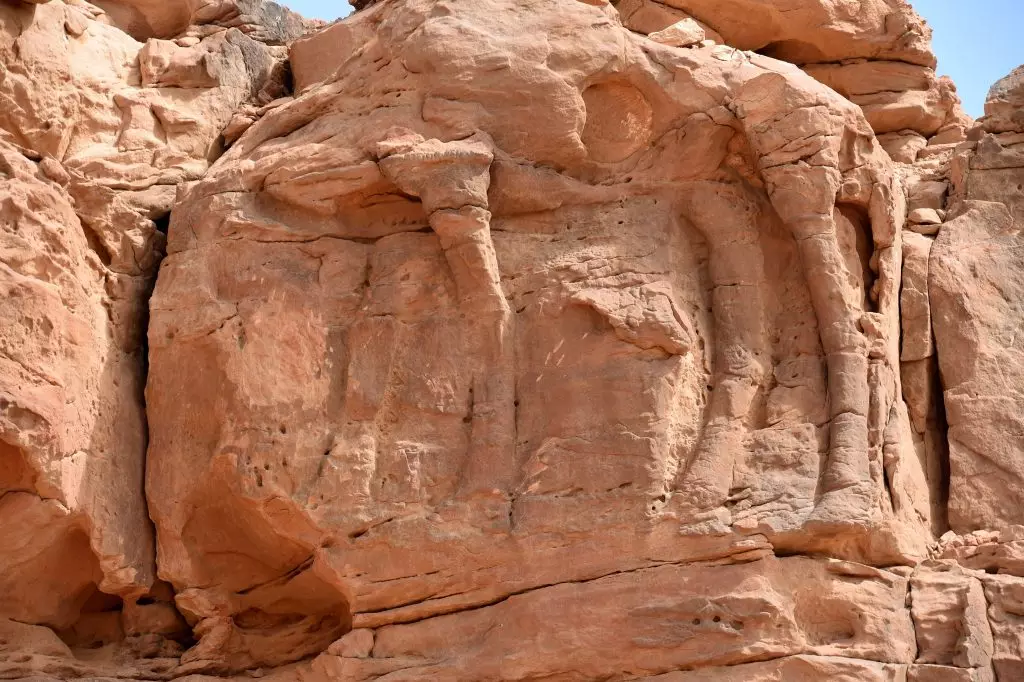 O le Camel Site i Saudi Arabia i le itu i matu-sisifo o al-Jouf, faatasi ai ma se faatagata vaneina o vae o se kamela o loo vaaia i le pito i luma. Ata na saunia e Fayez Nureldine, AFP e ala i Getty Images.