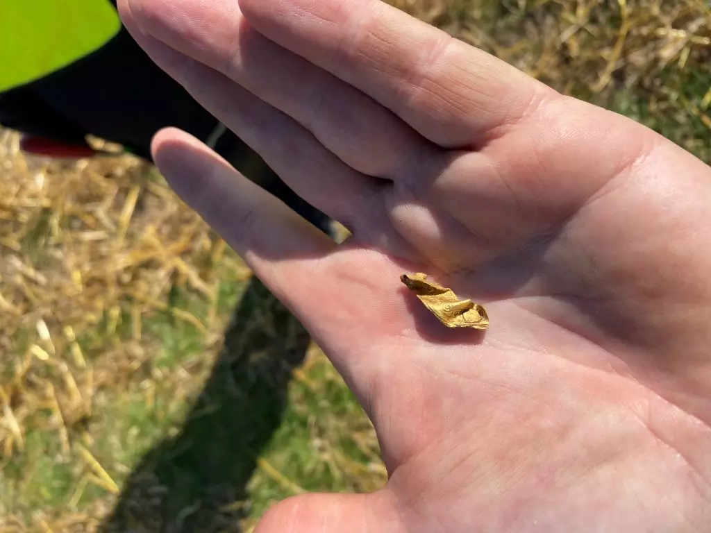 Ole Ginnerup Schytz scoprì un enorme tesoro d'oro dell'età del ferro in un campo vicino a Jelling, in Danimarca, nello Jutland meridionale. Foto per gentile concessione del Vejlemuseerne, Danimarca.