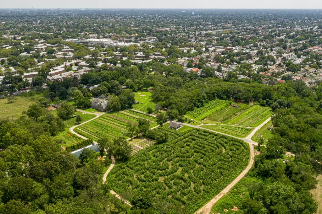 Nhọrọ ndị editọ: Ihe omume 14 maka kalenda nka gị n'izu a, site na mmeghe nke Chelsea ụbọchị niile ruo na Van Gogh-Themed Corn Maze 11960_12