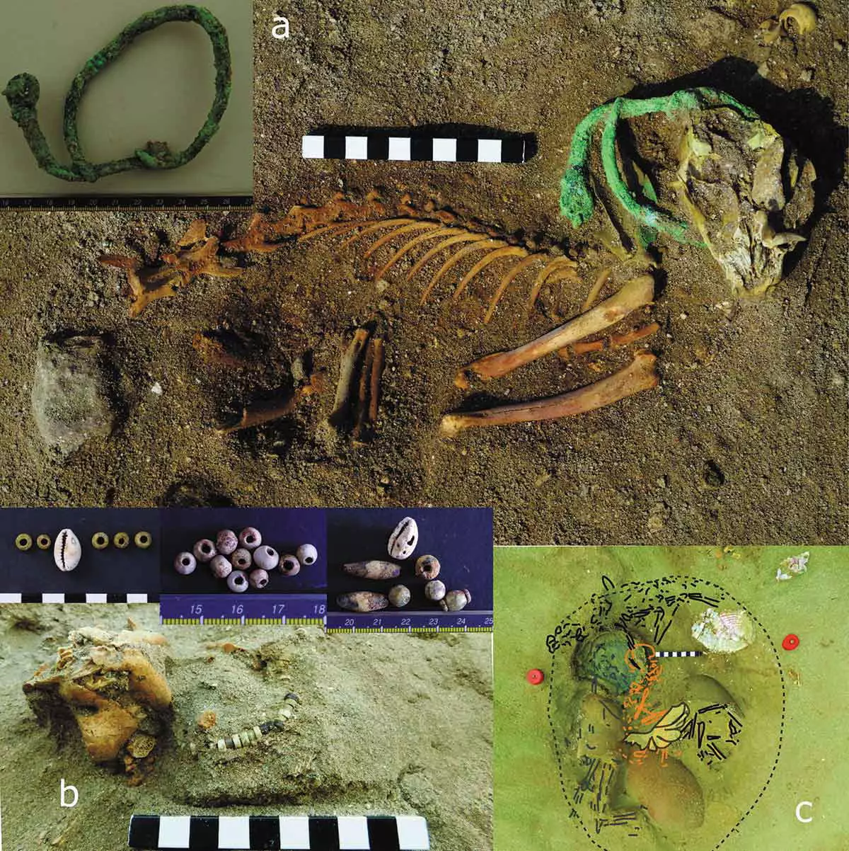 考古学者は、猫が派手なビーズのネックレスに埋葬されている古代エジプトのペット墓地を発掘しました