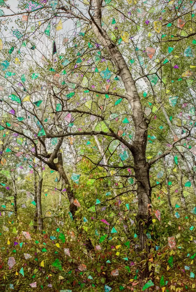 Ar figuratīvās glezniecības nozagto starmešu gaismu, mīkstošais fotogrāfijas tirgus virzās uz konceptuālu cenu