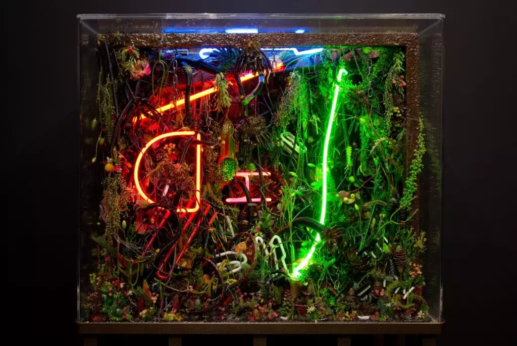 Max Hooper Schneider Lub Extinction ntawm Neon 2 (2015). Yees duab: courtesy High Art, Paris.