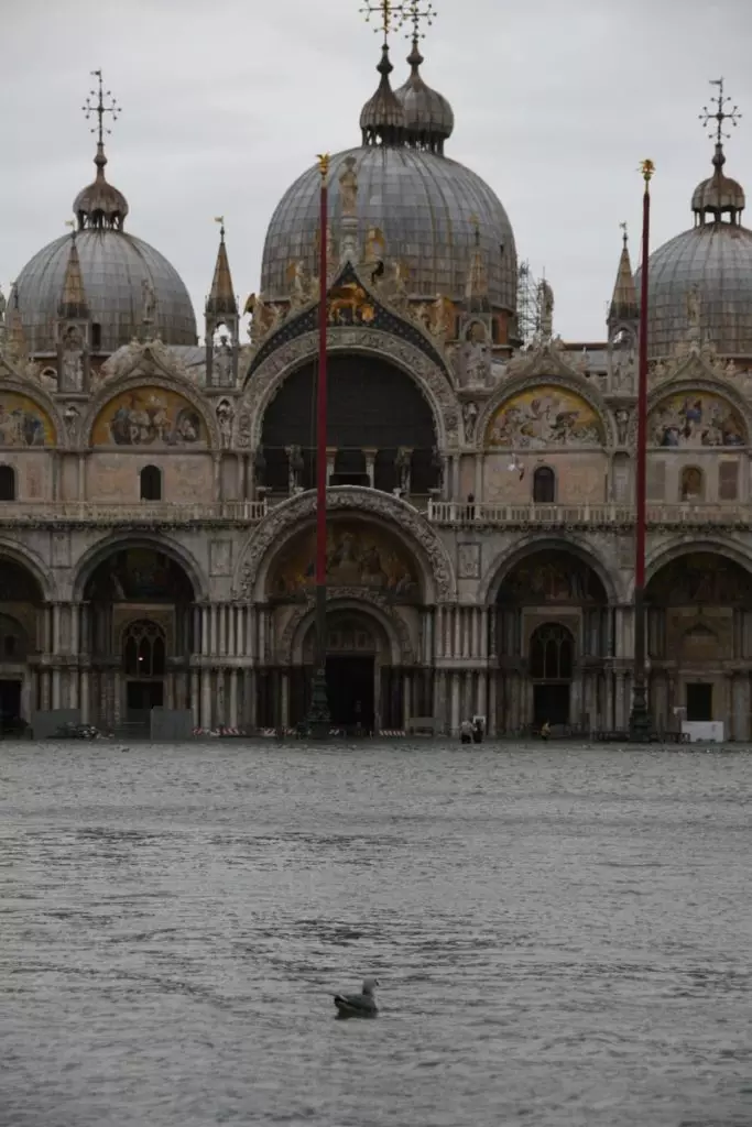 Venetsian kaupunki jakoi tämän kuvan Piazza San Marco -aukiolta Twitterissä. Kuva: Comune Venezia.