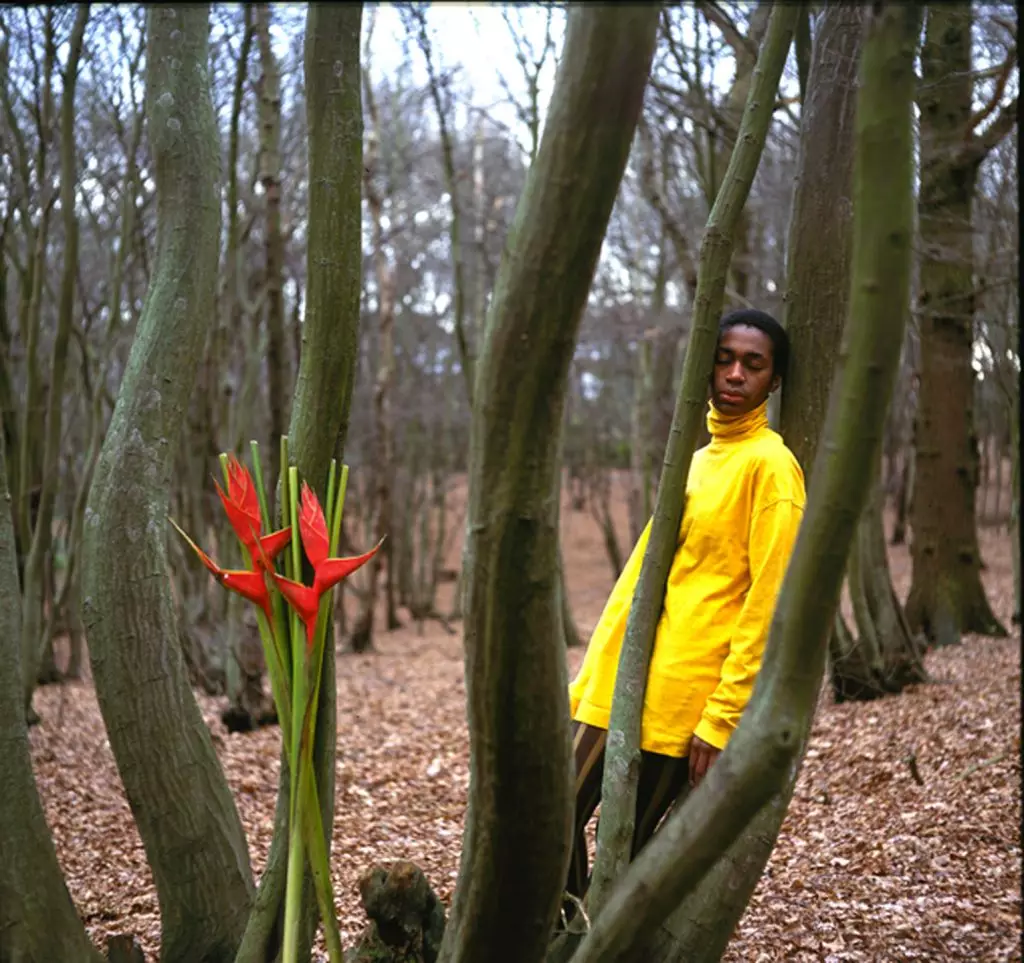 Ingrid Pollard, savaime aiškus (išsamiau) 1992 © ir menininko sutikimu