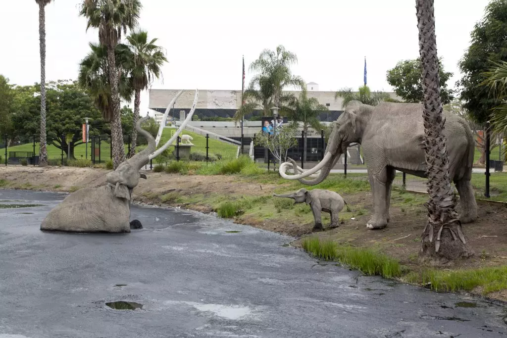 ILa Brea Tar Pits, eLos Angeles, eCalifornia. Ifoto nguCarol M. Highsmith/Buyenlarge/Getty Images.