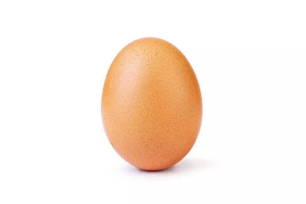 @World_record_egg دىن كەلگەن بىردىنبىر يازما.