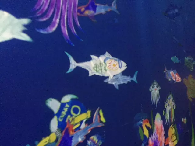 Le poisson de l'auteur dans le Sketch Aquarium de teamLab. Photo : Ben Davis.