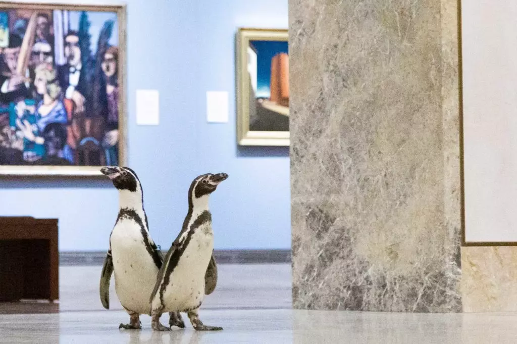 Ugedriwwe vum Nelson-Atkins Museum of Art zu Kansas City, Missouri. Foto: Gabe Hopkins.