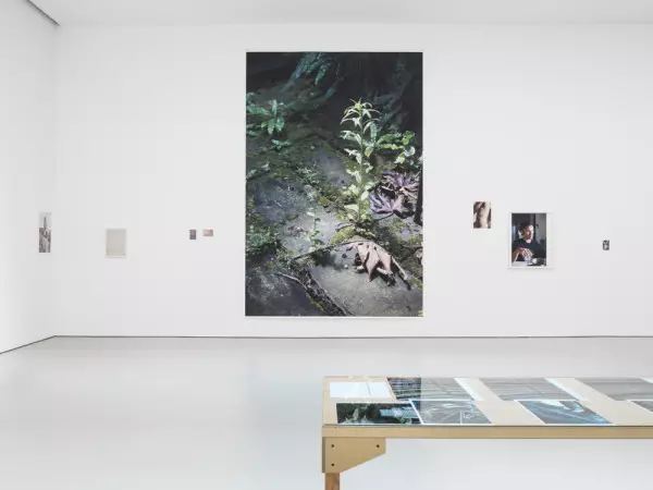 Wolfgang Tillmans fanger tidsånden 18601_1