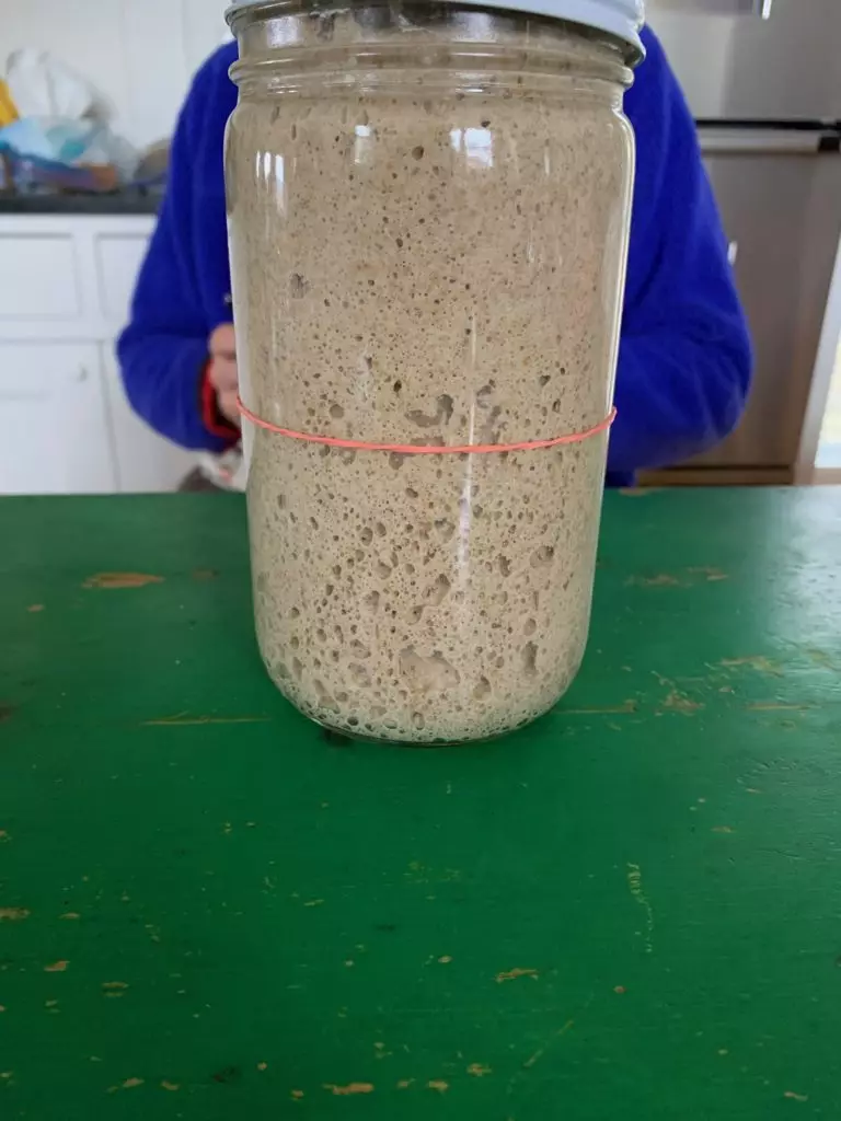 Lexie Smith's sourdough starter. Litrato sa maayong kabubut-on ni Dan Colen.