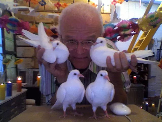 Anton van Dalen dengan burung merpatinya. Gambar ihsan artis.