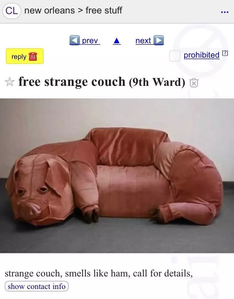 Sebuah posting Craigslist untuk sofa babi di New Orleans.