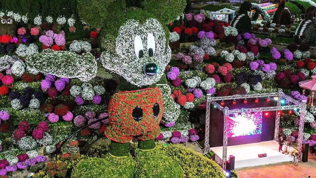 Dubai Miracle Garden nduwe rekor patung topiary paling gedhe ing donya kanthi tokoh Mickey Mouse iki. Foto duweni Guinness World Records.