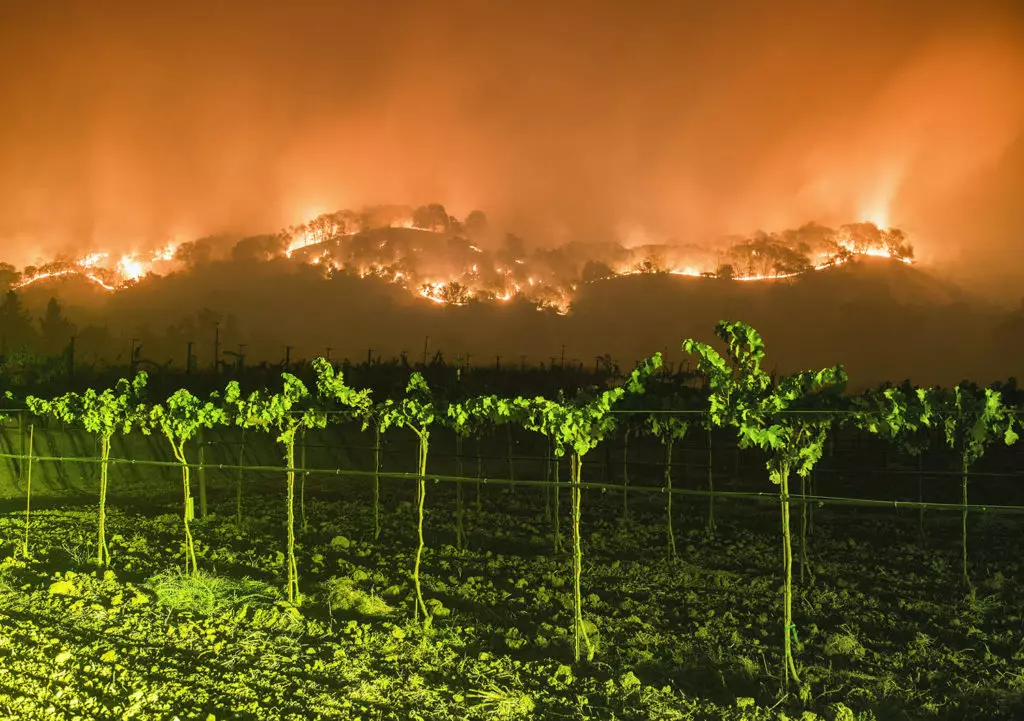 Stuart Palley: Das Atlas-Feuer brennt am Montagabend, dem 10. Oktober 2017, in den Grafschaften Napa und Solano. Das Feuer war zu 3 % eingedämmt und hatte 25.000 Morgen niedergebrannt. Mehrere Gebäude wurden zerstört, als die Besatzungen gegen starke Winde und zundertrockene Vegetation kämpften, nachdem mehrere Brände in der Gegend brannten. Foto mit freundlicher Genehmigung von Stuart Palley.