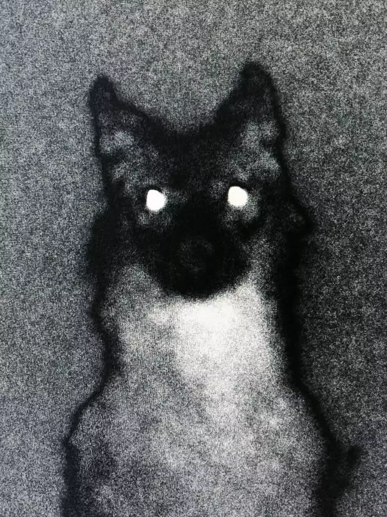 Michal Rovner Night Vision Jackals Angker Pace Gallery 21798_6