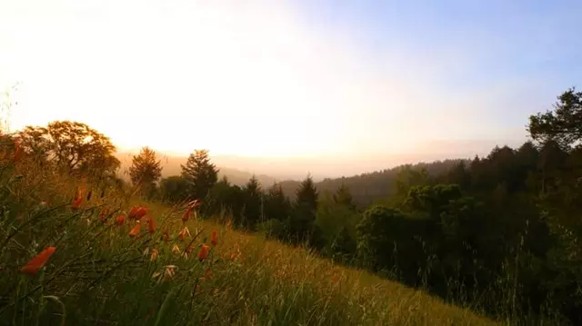 ショーン・オニールによるカリフォルニアの風景。