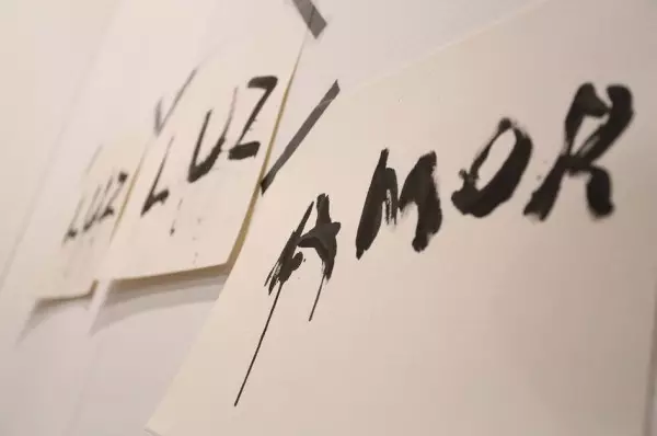 عکس: د ArteBA فلکر له لارې