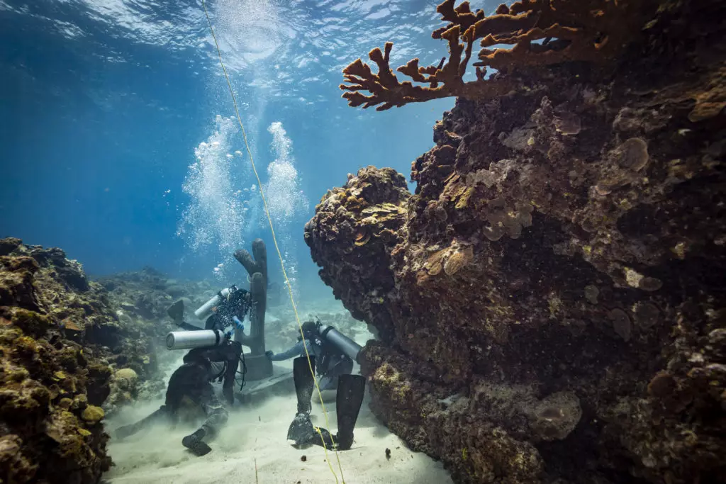 Búvárok, akik Claudia Comte víz alatti kaktuszszobrait telepítik a jamaicai East Portland Fish Sanctuary-ben (2019). Fotó: F-Stop Movies.