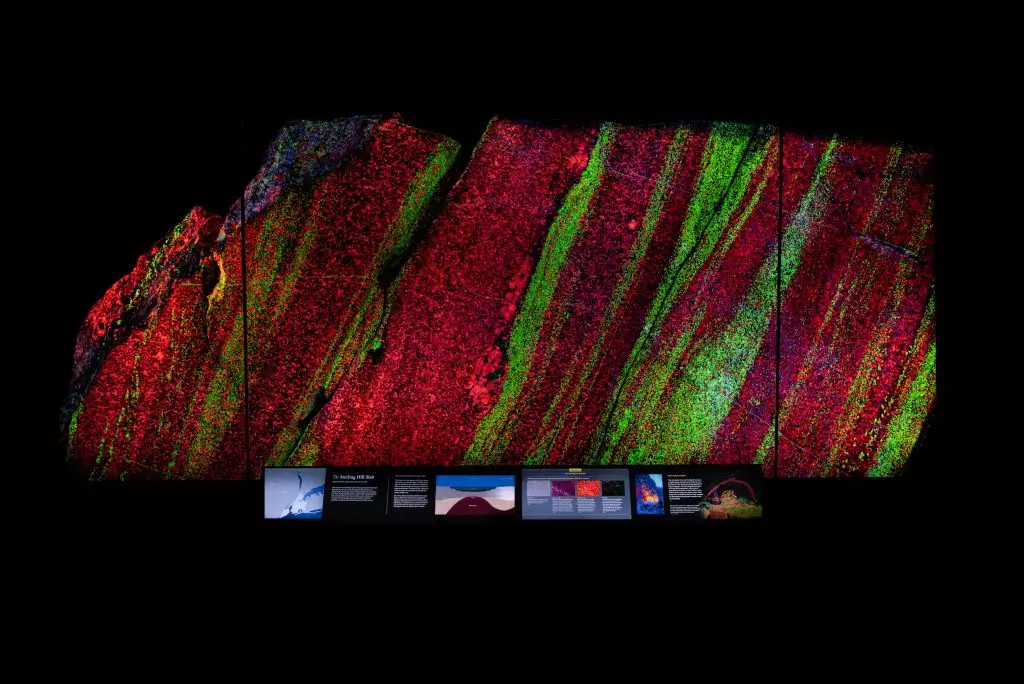 Sterling Hill Fluorescent Rock Panel ចំណុចកណ្តាលនៃបន្ទប់ Minerals & Light គឺជាបន្ទះជញ្ជាំងដែលមានទំហំប៉ុនថ្ម fluorescent ដែលបញ្ចេញពន្លឺពណ៌ទឹកក្រូច និងបៃតង ដែលមានប្រភពមកពី Sterling Hill ក្នុងរដ្ឋ New Jersey។ រូបថតដោយ D. Finnin, ©AMNH.