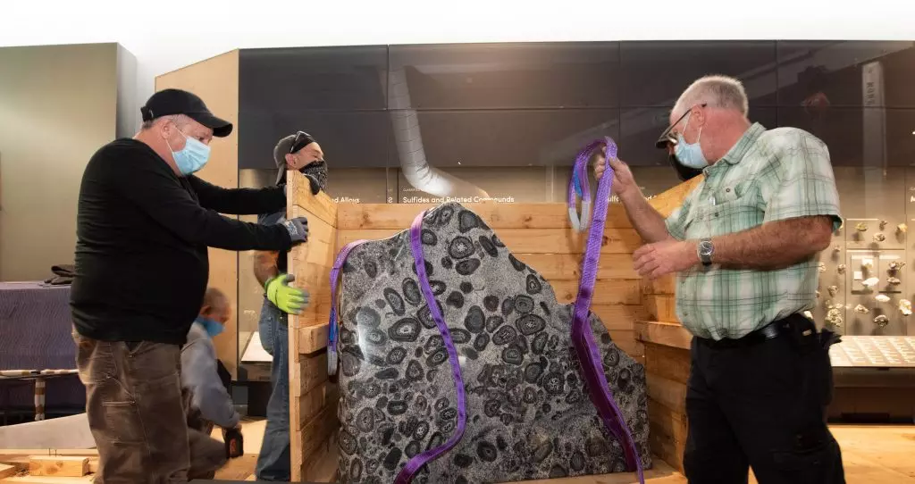 A instalación dun granito orbicular do cratón de Yilgarn, en Australia Occidental, nos novos Salóns de Xemas e Minerais do Museo Americano de Historia Natural. Foto de D. Finnin, ©Museo Americano de Historia Natural.