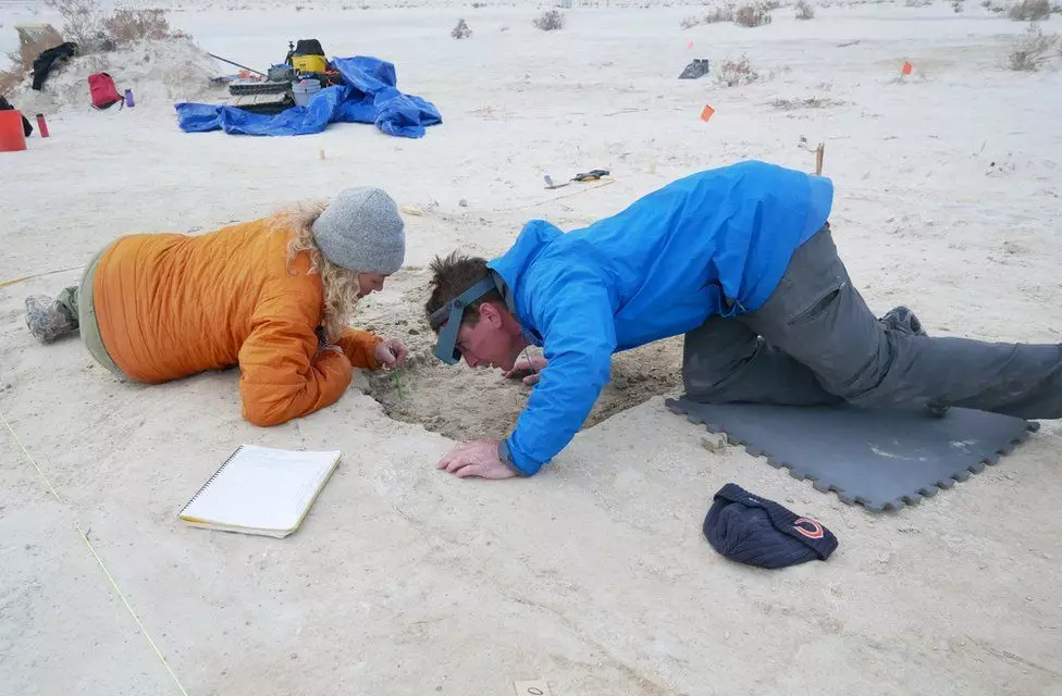 Investigadores prueban semillas encontradas incrustadas en las huellas. Foto cortesía de la Universidad de Bournemouth, Reino Unido.