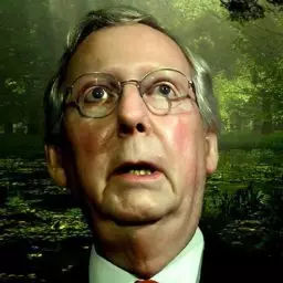 Oliver Wasow, Mitch McConnel. Daga Oliver Wasow.