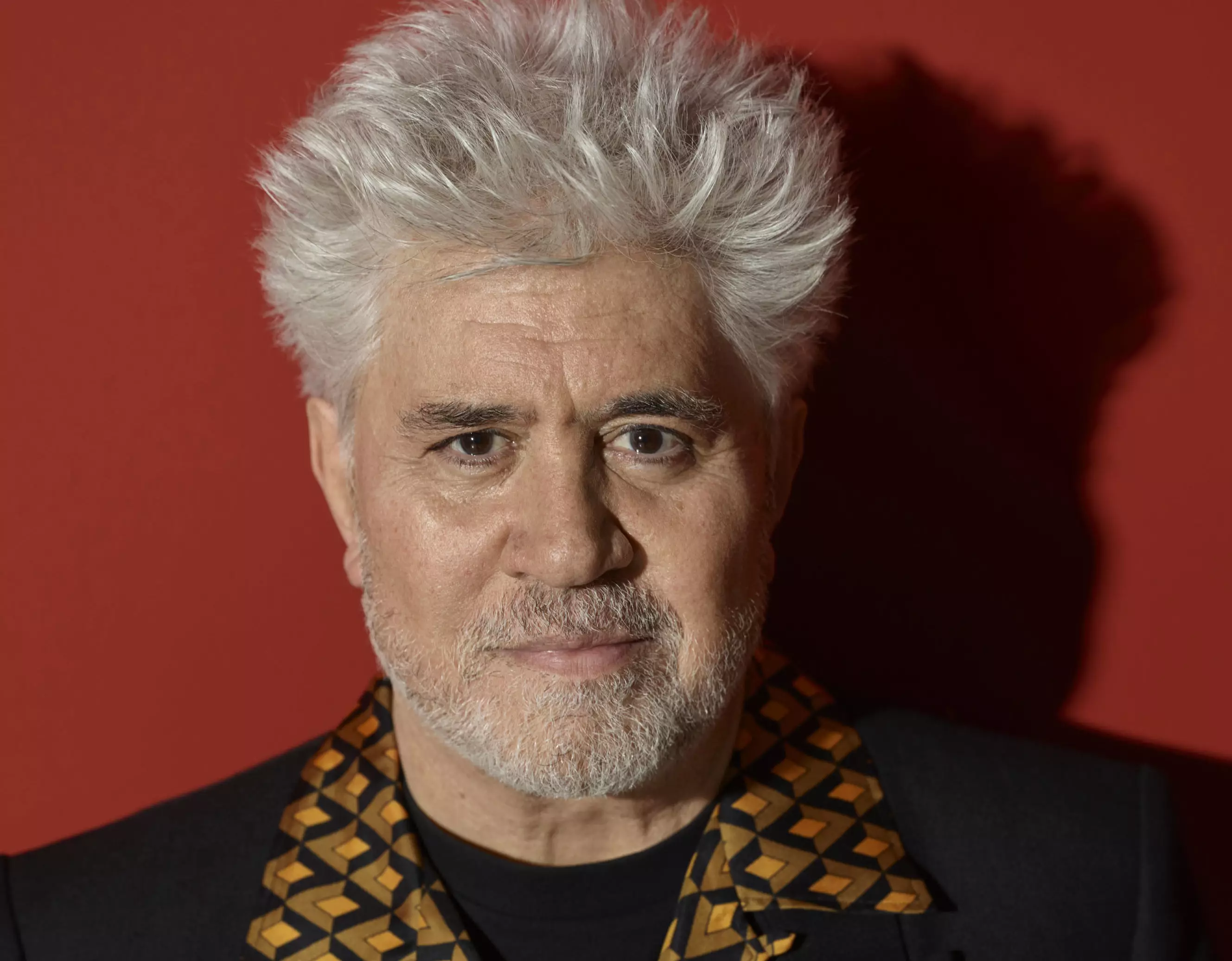 'Aku ora bakal gelo yen sampeyan njlèntrèhaké minangka Seni Dekoratif:' Pembuat film Pedro Almodóvar babagan Napa Dheweke dadi Fotografer Urip Bunga Saiki