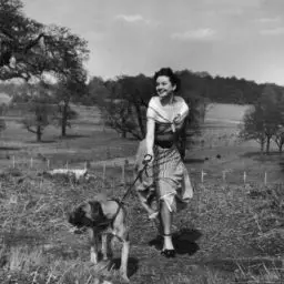 Bert Hardy, upubliceret fotografi af Audrey Hepburn i Richmond Park af Bert Hardy, 30. april (1950) Foto: ©Bert Hardy/Getty Images