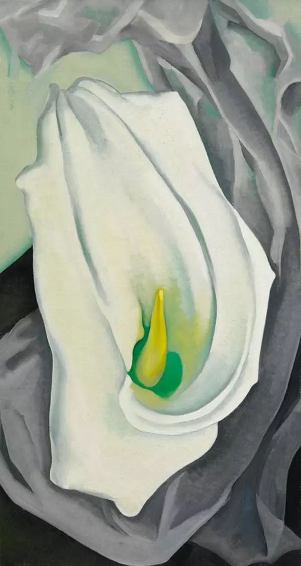 乔治亚·奥基夫（Georgia O'Keeffe），白马蹄莲（1972 年）。照片：由苏富比提供。