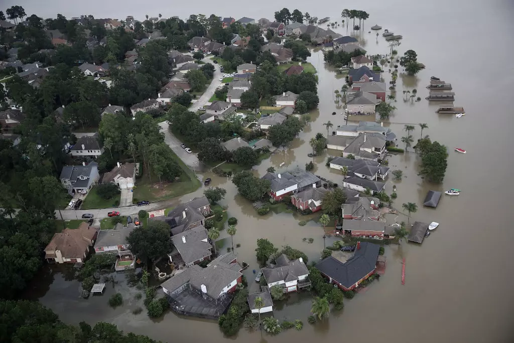 Nouvelles de l'industrie de l'art : comment les musées de Houston se sont ressaisis pour Harvey + Plus d'histoires incontournables 25414_1