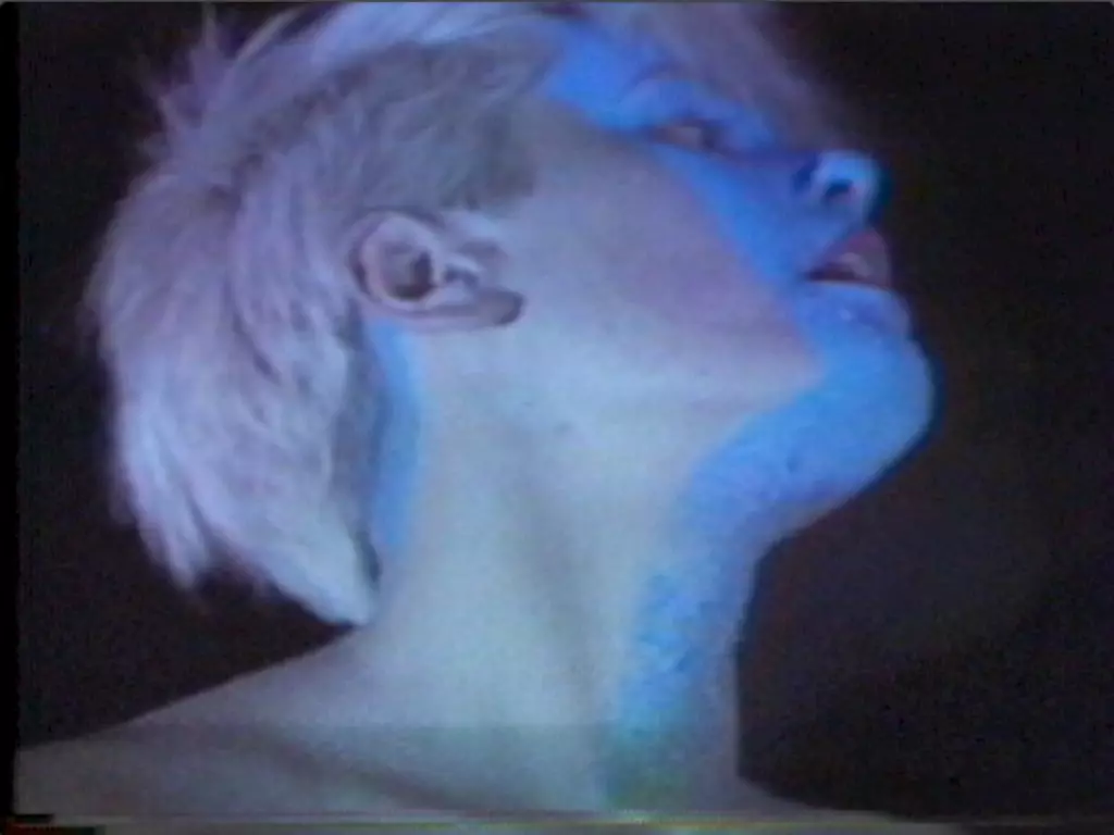 Pat Hearn en Shelley Lake Seizure, (1980). Stills from VHS, Foto: mei dank oan The Kitchen Gallery.